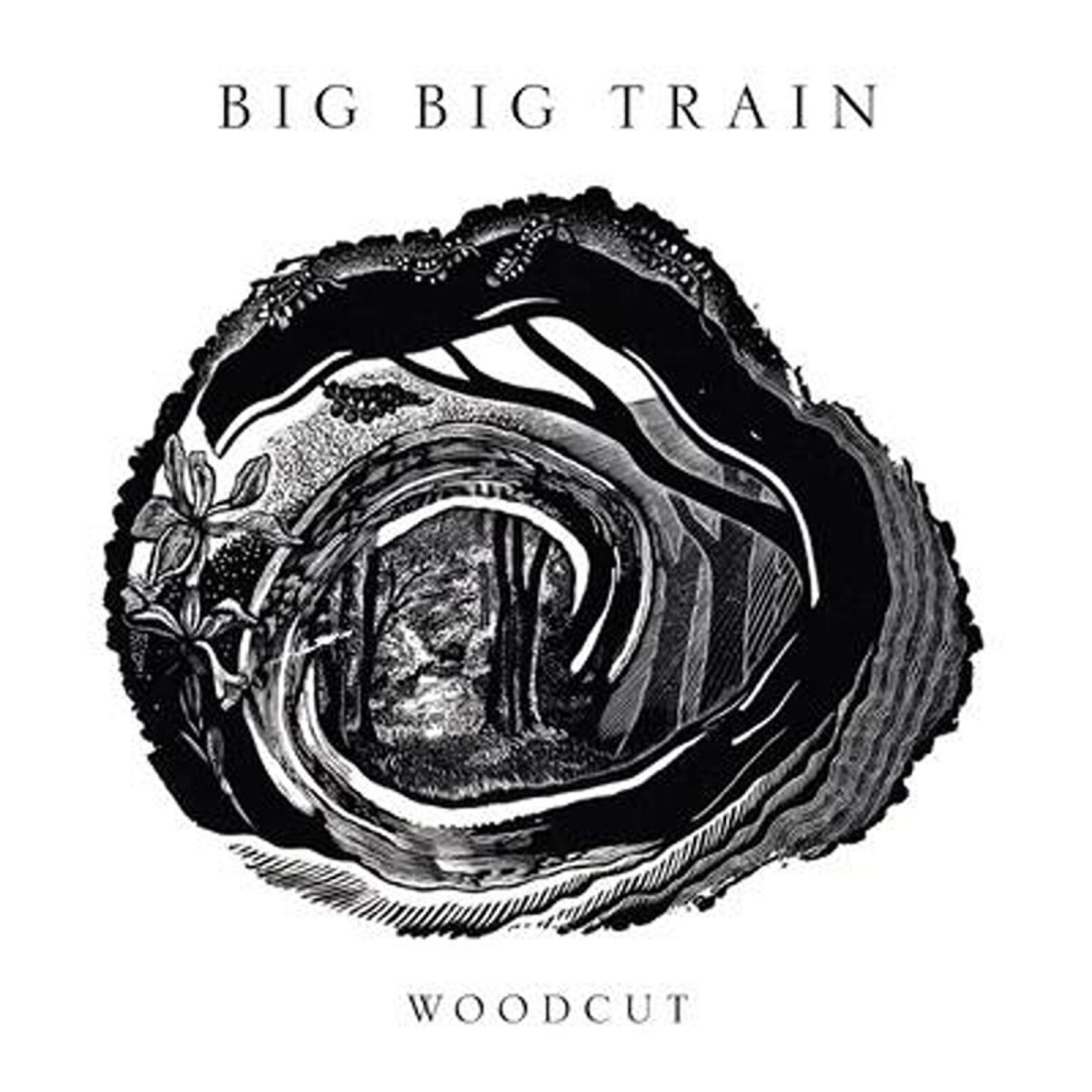 "Big Big Train: Woodcut" im Mediabook auf Blu-ray, auf CD & Vinyl ab ...