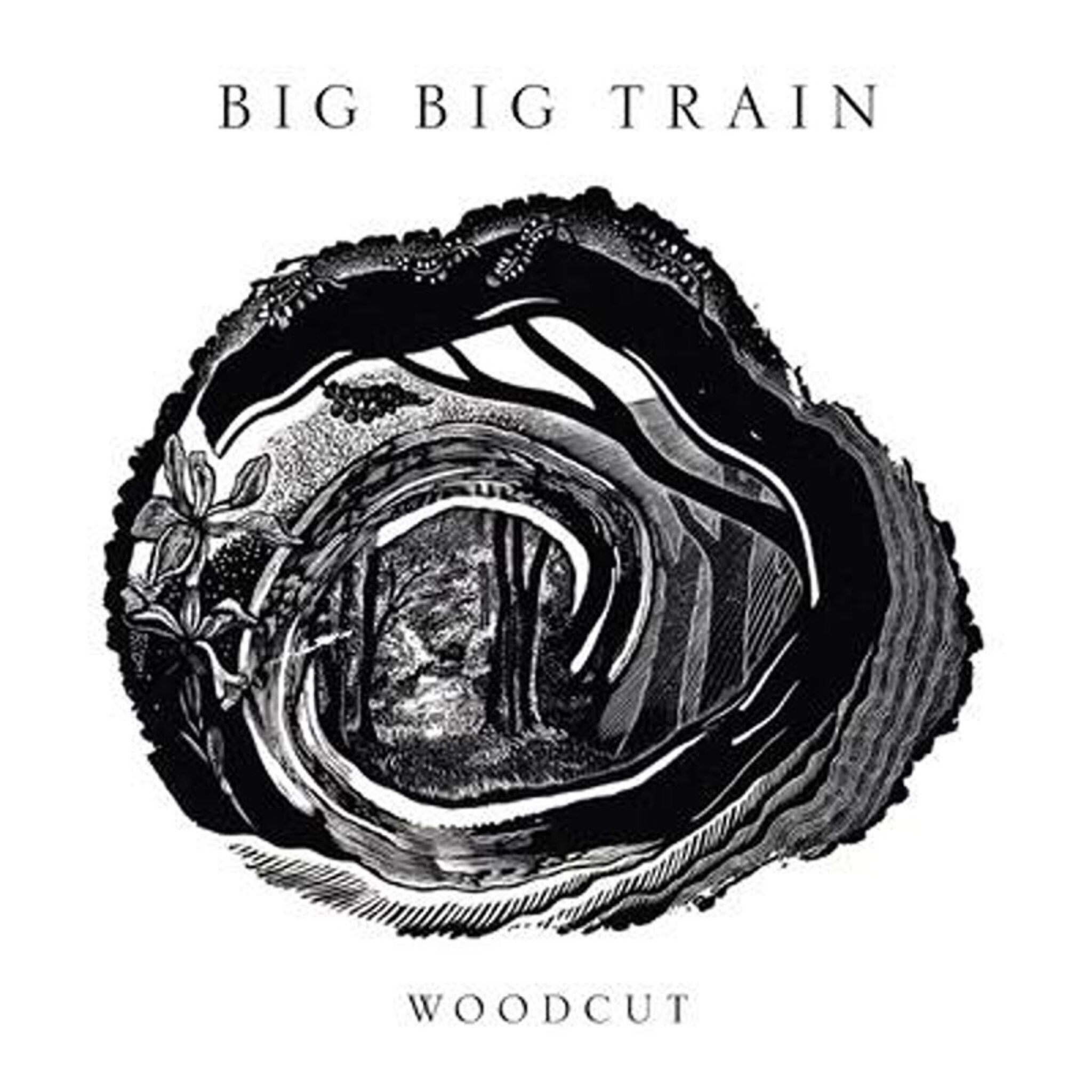"Big Big Train: Woodcut" im Mediabook auf Blu-ray, auf CD & Vinyl ab ...